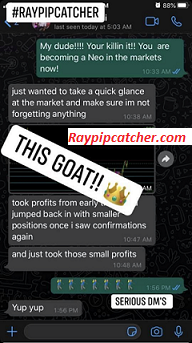 RayPipcatcher Indicies Bitcoin Stocks Forex Analyst Ray Napier