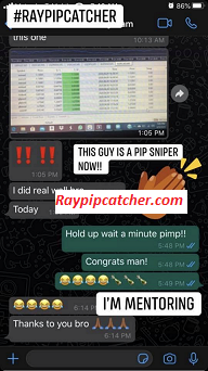 RayPipcatcher Indicies Bitcoin Stocks Forex Analyst Ray Napier