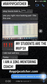 RayPipcatcher Indicies Bitcoin Stocks Forex Analyst Ray Napier