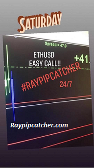 RayPipcatcher Indicies Bitcoin Stocks Forex Analyst Ray Napier