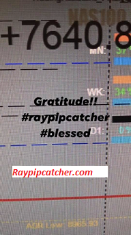 RayPipcatcher Indicies Bitcoin Stocks Forex Analyst Ray Napier