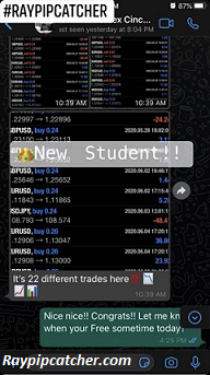 RayPipcatcher Indicies Bitcoin Stocks Forex Analyst Ray Napier