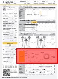 Body Composition Analysis Report