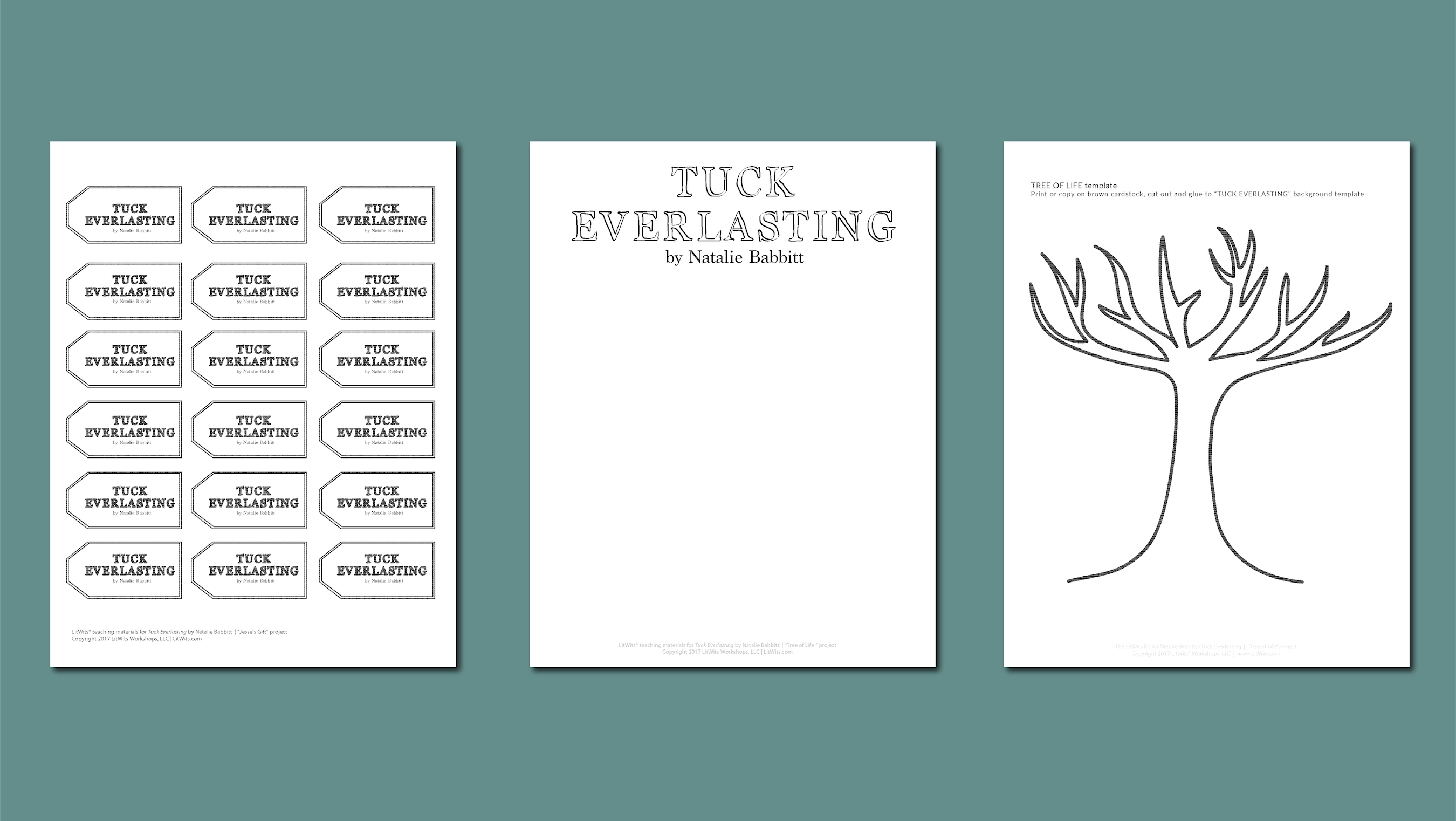 Creative teaching ideas for TUCK EVERLASTING