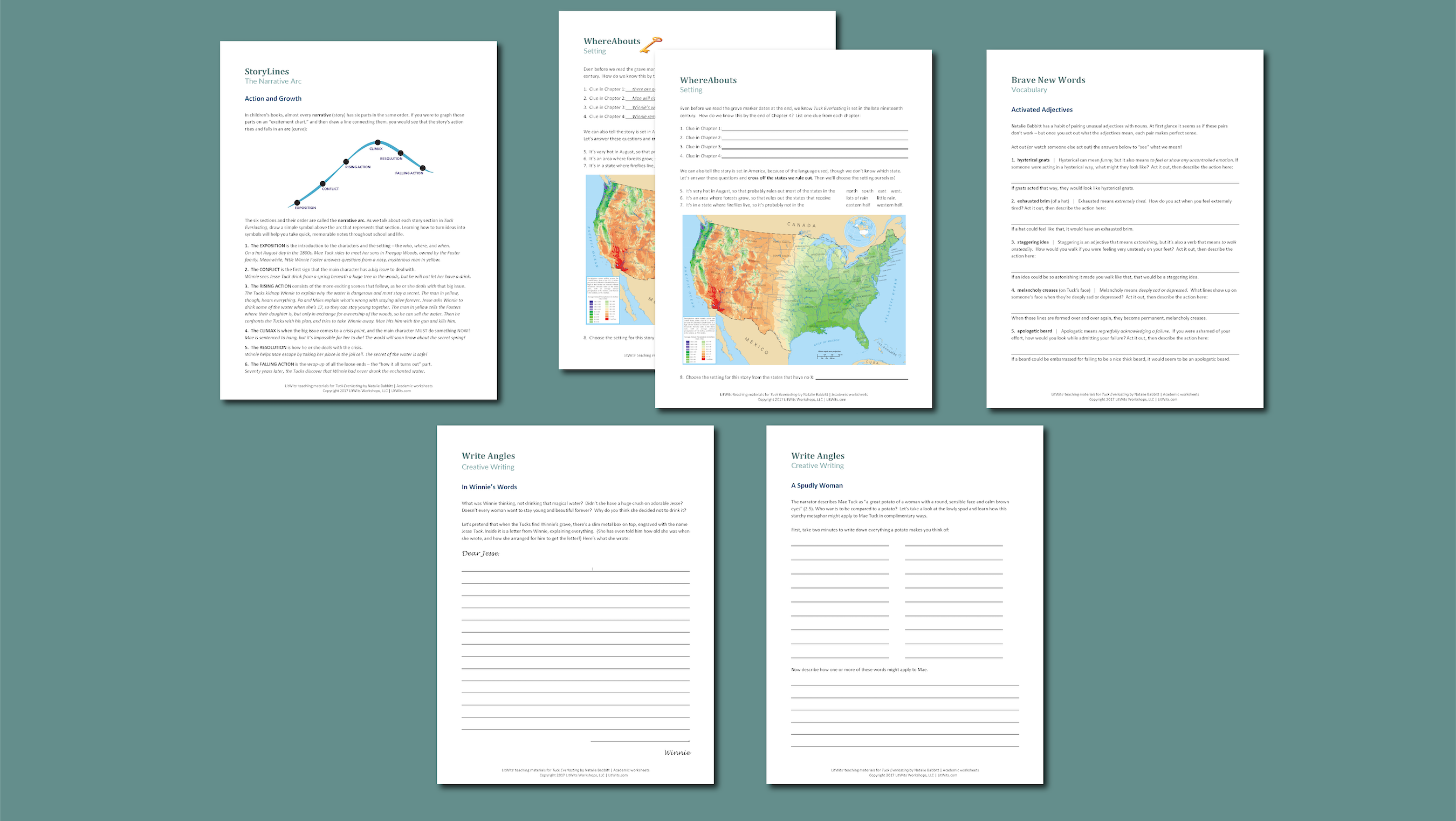 Creative teaching ideas for TUCK EVERLASTING